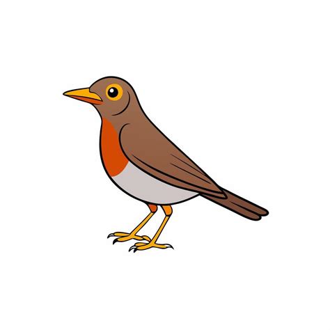 Stunning Bird Cartoon Drawing For Nature And Wildlife Artworks 54319564