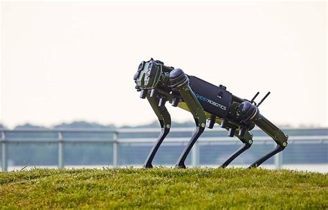 지뢰 찾고 침입자엔 경고 방송 美軍도 반한 4족 로봇