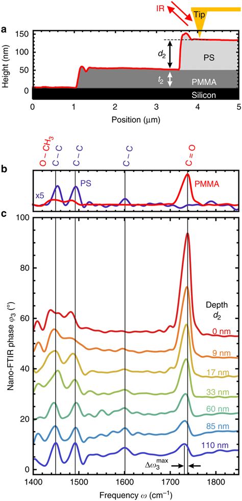 Subsurface Nano Ftir Spectroscopy Experiments On Well Defined
