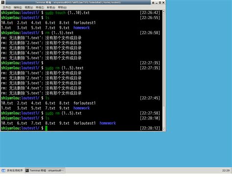 linux 目录结构及文件基本操作 蓝桥云课