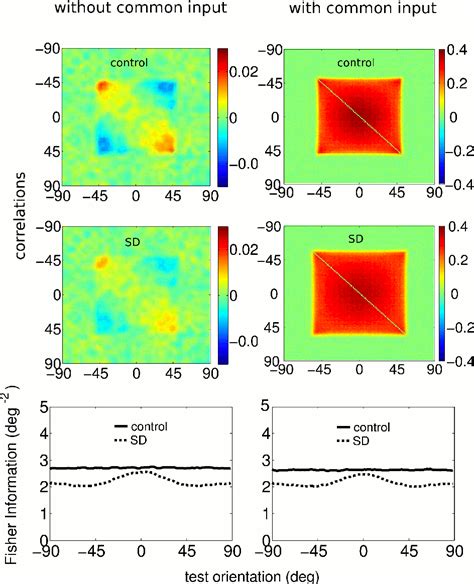 Figure 7 From The Effect Of Neural Adaptation Of Population Coding
