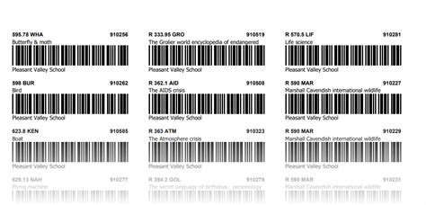Barcode Examples