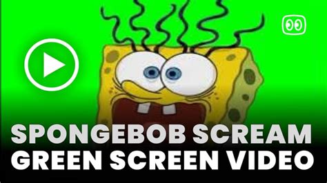 Spongebob Scream Green Screen Free Mp4 Download