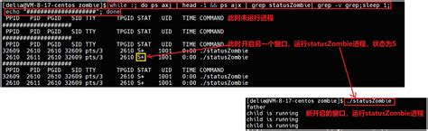 【linux】 进程概念补全getprocinfo函数用于获取当前进程id和其父进程id提示将结果存放在procidi Csdn博客