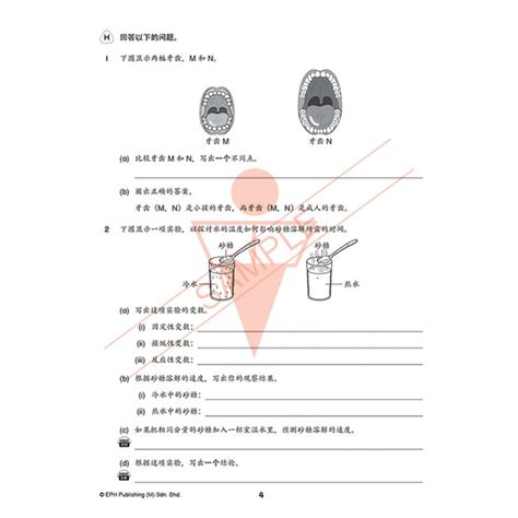 五年级自习单元 练习科学