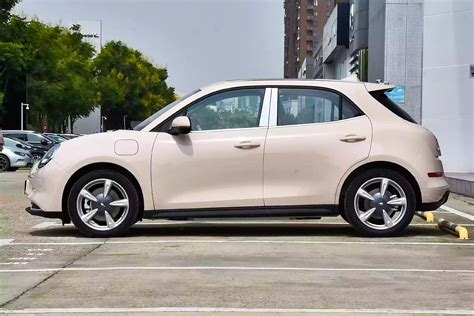 Gwm Ora Car Price Guangcaiauto