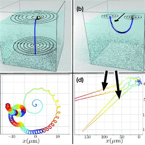 PDF Dynamics Of The Vortex Particle Complexes Bound To The Free Surface Of Superfluid Helium