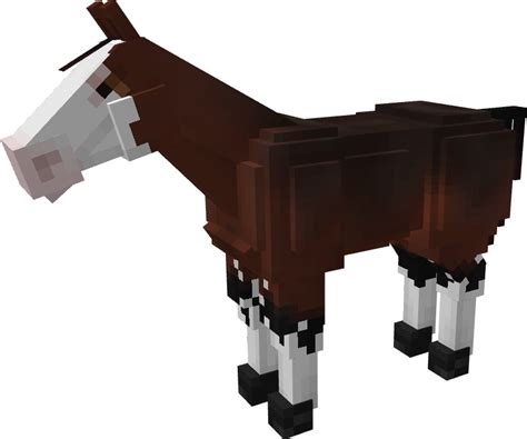 Carnelian Swem Wiki