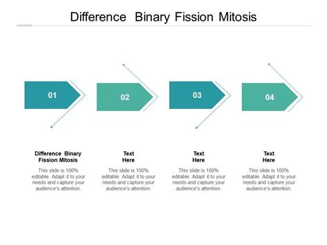 Difference Binary Fission Mitosis Ppt Powerpoint Presentation Show Design Templates Cpb