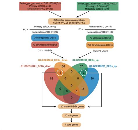 Roadmap Of The Approach And Summarized Findings Download