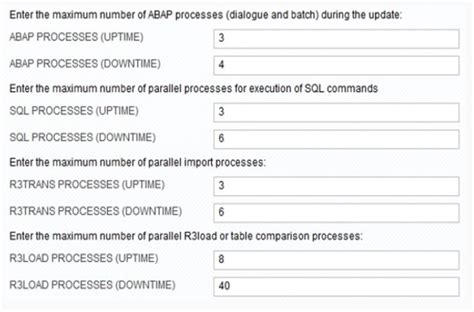 Parallelism In The Upgrades And Support Packages BuddySAP