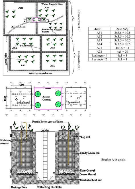 Field Layout And Lysimeter Setup Details Dimensions Are In Mm