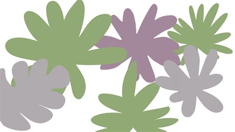 Rhize Roots — Rhize Journey