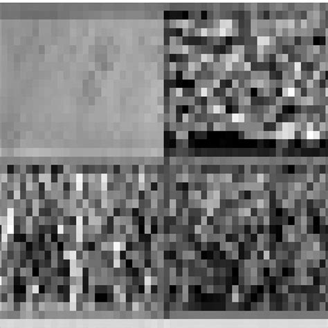 Iris Segmentation Using Hough Transformation A Original Iris Image