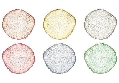 Vector Tree Rings 101584 Vector Art At Vecteezy Vector Tree Rings 101584 Vector Art At Vecteezy