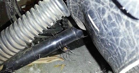 I Havent Taken The Bike Out For A While I Noticed Someone Else Has