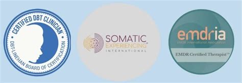 Somatic Experiencing Se And The Sibam Model — Turn The Mind