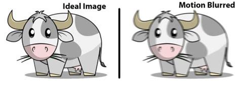 LCD V LED V OLED Understanding Different Display Panel Types Tom S Hardware