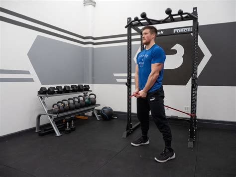 Pull Through Exercícios Benefícios e Músculos Trabalhados BarBend Wzrost