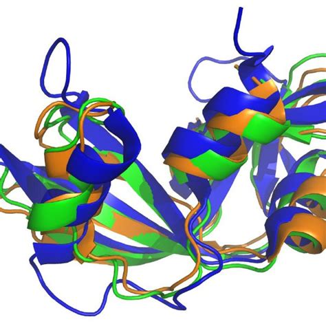 Sequence Alignment Of Rnase A Rc Rnase 3 And Onc Download