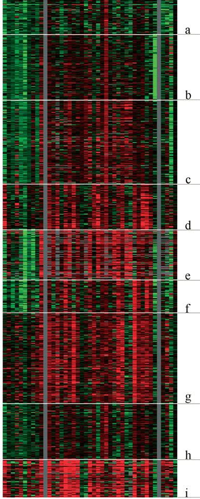 Graphical Presentation Of The Clustering Results For The Samples Download Scientific Diagram