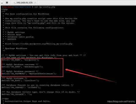 网络渗透测试实验四 Ctf实践（webdeveloper靶机渗透）ctf怎么打开靶机 Csdn博客