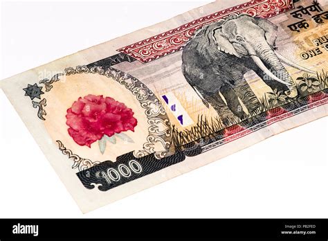 1000 Nepalese Rupee Bank Note Nepalese Rupee Is The National Currency