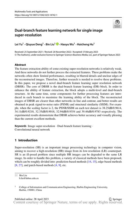 dual branch feature learning network for single image super resolution