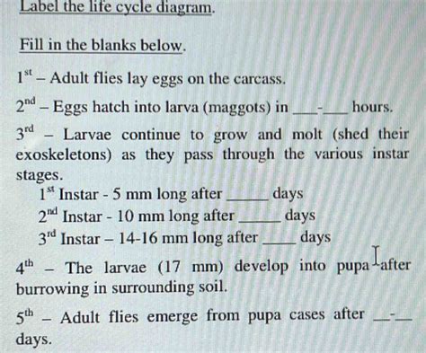 Solved Label The Life Cycle Diagram Fill In The Blanks Below St Adult Flies Lay Eggs On