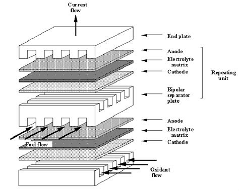 Essential Geometry Of A Fuel Cell Download Scientific Diagram