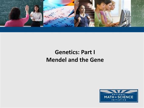 Ppt Genetics Part I Mendel And The Gene Powerpoint Presentation Free Download Id