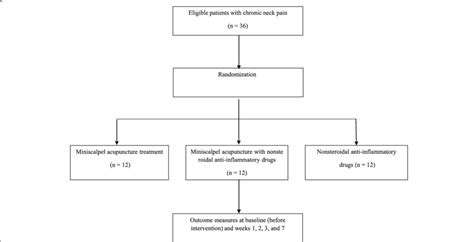 Flow Chart Of Our Pilot Randomized Controlled Trial Download