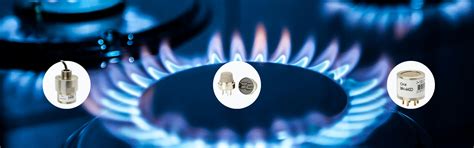 가정 및 식당에서의 천연 가스 Lpg 가스 사용 안전 Winsen 가스 센서 Co2 센서 공기 품질 센서 먼지 센서 Co 센서 Winsen Electronics