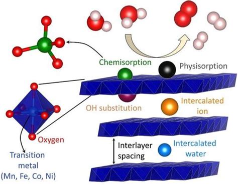 表面吸附和插层（氧）阴离子对析氧反应的影响angewandte Chemie International Edition X Mol