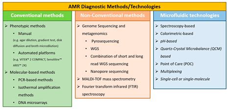 Antimicrobial Assay Methods At Deane Williams Blog