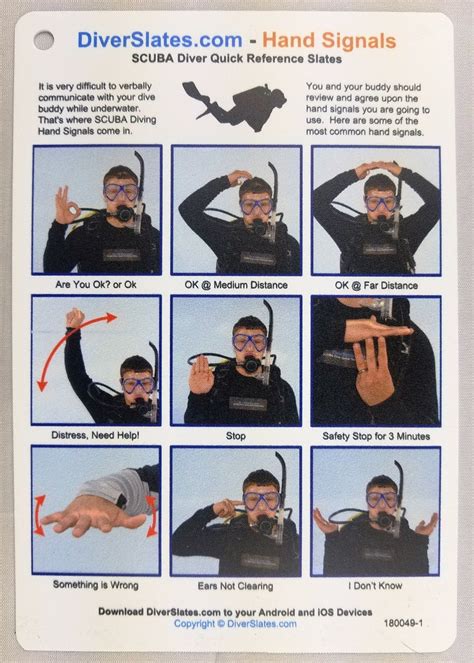 Padi Scuba Diving Hand Signals Padi Advanced Open Water Diver Robin