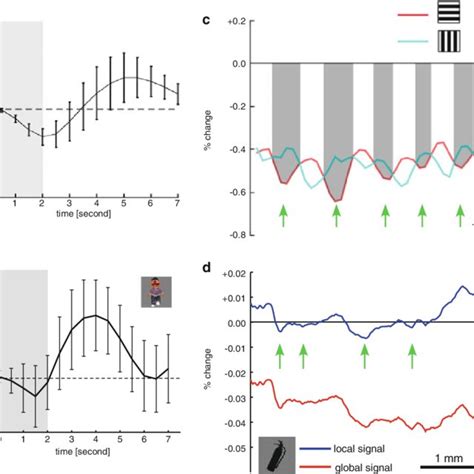 Spatial Patterns Of Intrinsic Signals Evoked By Orthogonal Grating
