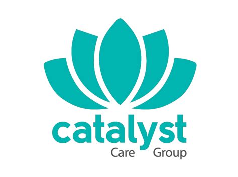 Catalyst Leadership Coaching The Training Rock