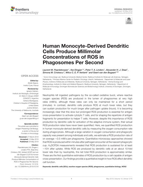 Pdf Human Monocyte Derived Dendritic Cells Produce Millimolar Concentrations Of Ros In