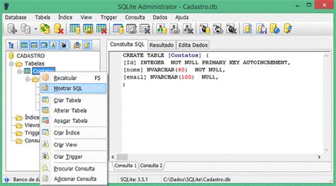 VB NET Acessando O SQLite Com O VS 2013 II