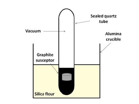 Schematic Of Reaction Set Up Download Scientific Diagram