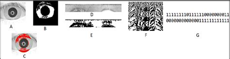 figure 1 from a standard ranking algorithm for robust iris template