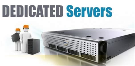 shaurya infotech server and hosting web development dedicated server