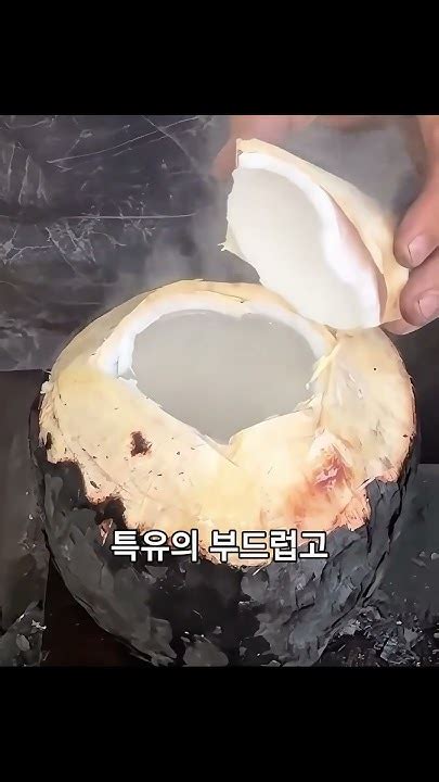 구운 코코넛을 먹는 이유 지식 정보 Youtube