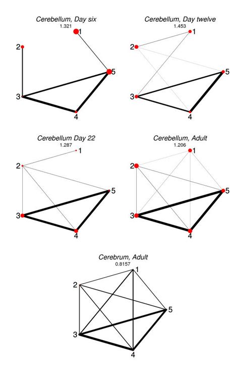 conditional independence graphs conditional independence graphs for
