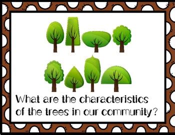 Tree Study Question Of The Day Investigation By MsMorenosprebabe