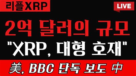 🔥리플 Xrp🔥 Xrp 대형 호재 2억 달러 규모의 자본금과 원화 14조원 까지 Youtube