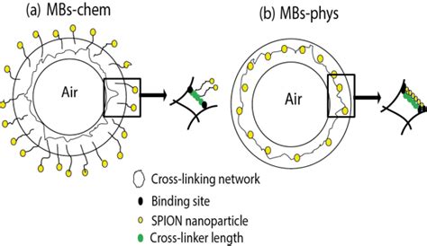 Schematic Representation Of Structural Characteristics Of Cross Linking Download Scientific