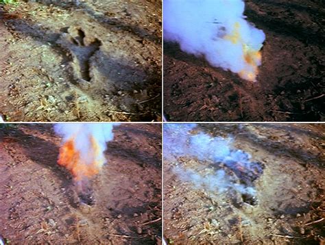 Untitled Silueta Series Gunpowder Works 1980 Dd Collection