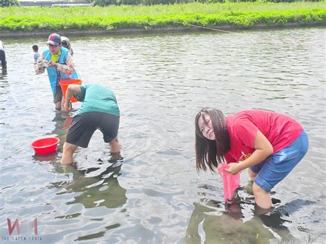 相招來大城作伙摸好蜆 陳儀興理事長邀遊客來到西南角體驗下水樂 觀傳媒